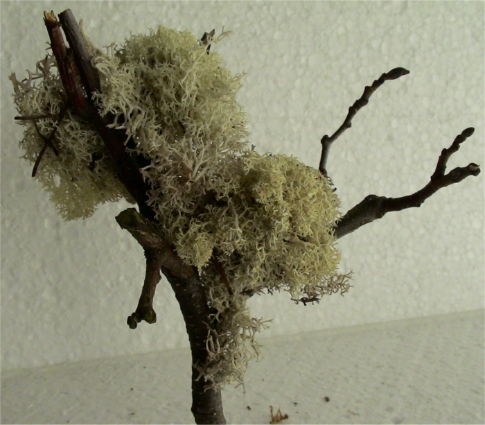 Bomen Maken 1 - 3rail Wiki