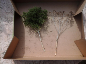 Bomen maken van zeeschuim - 3rail Wiki