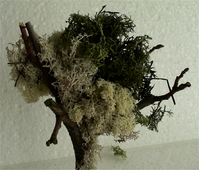 Bomen Maken 1 - 3rail Wiki